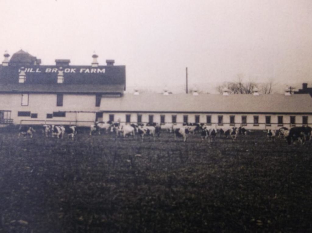 Millbrook Playhouse: From farm to theater - PA Wilds Cooperative