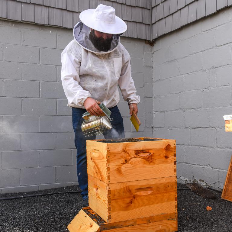 Rich Valley Apiary: Turning organic honey into self-care products - PA ...