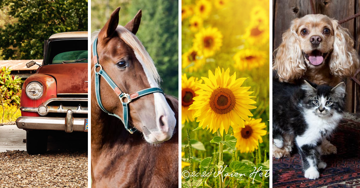 Karen Heltzel: Photography for every occasion - PA Wilds Cooperative